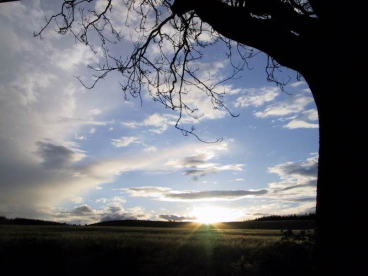 Caim Prayer – Mark's Treasury Of Celtic Christian Spirituality